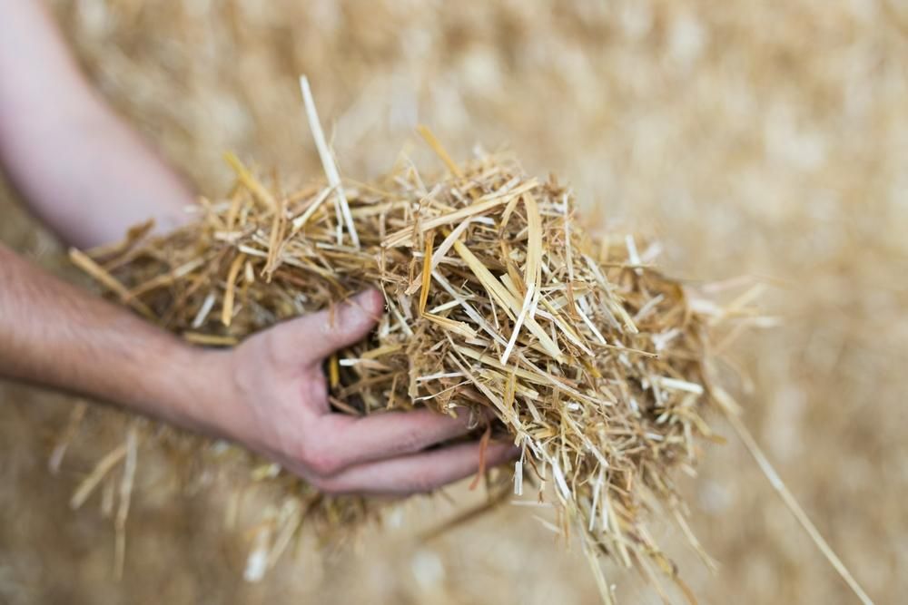 Farm Produce in Kempsey | Kempsey Produce & Saddlery