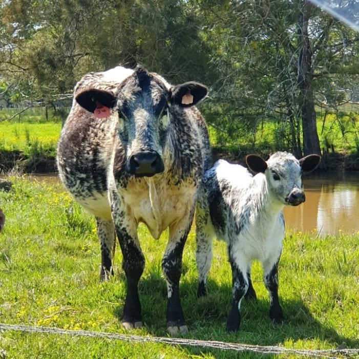 Contact Us | Kempsey Produce & Saddlery