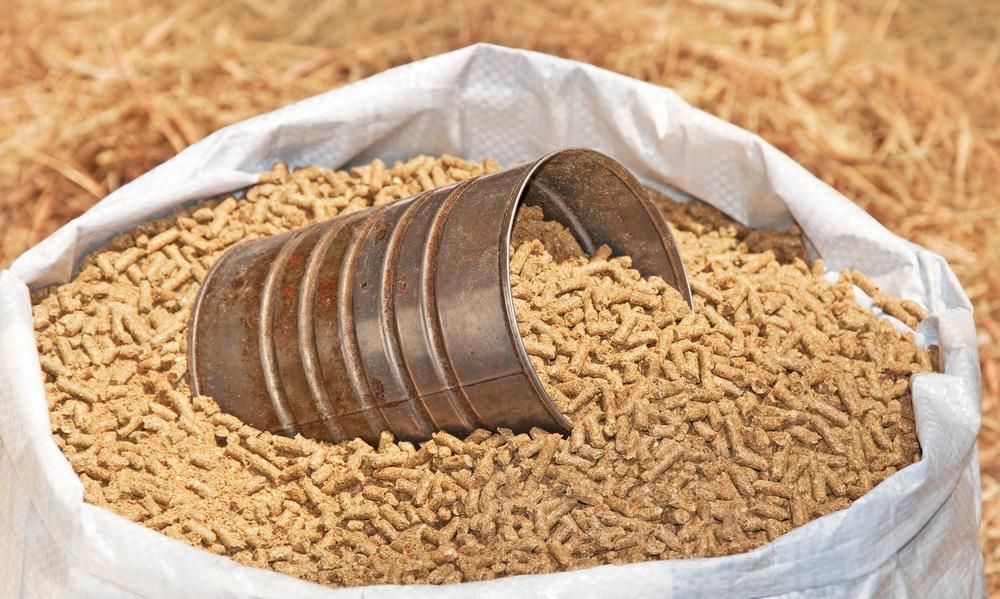 Animal Feed in Kempsey | Kempsey Produce & Saddlery
