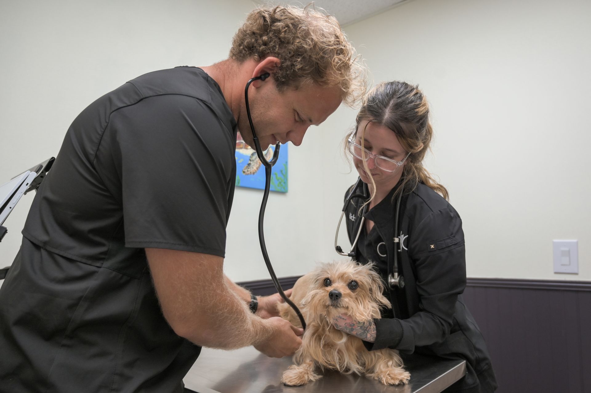 Community Vet Clinic Services | Vet Clinic