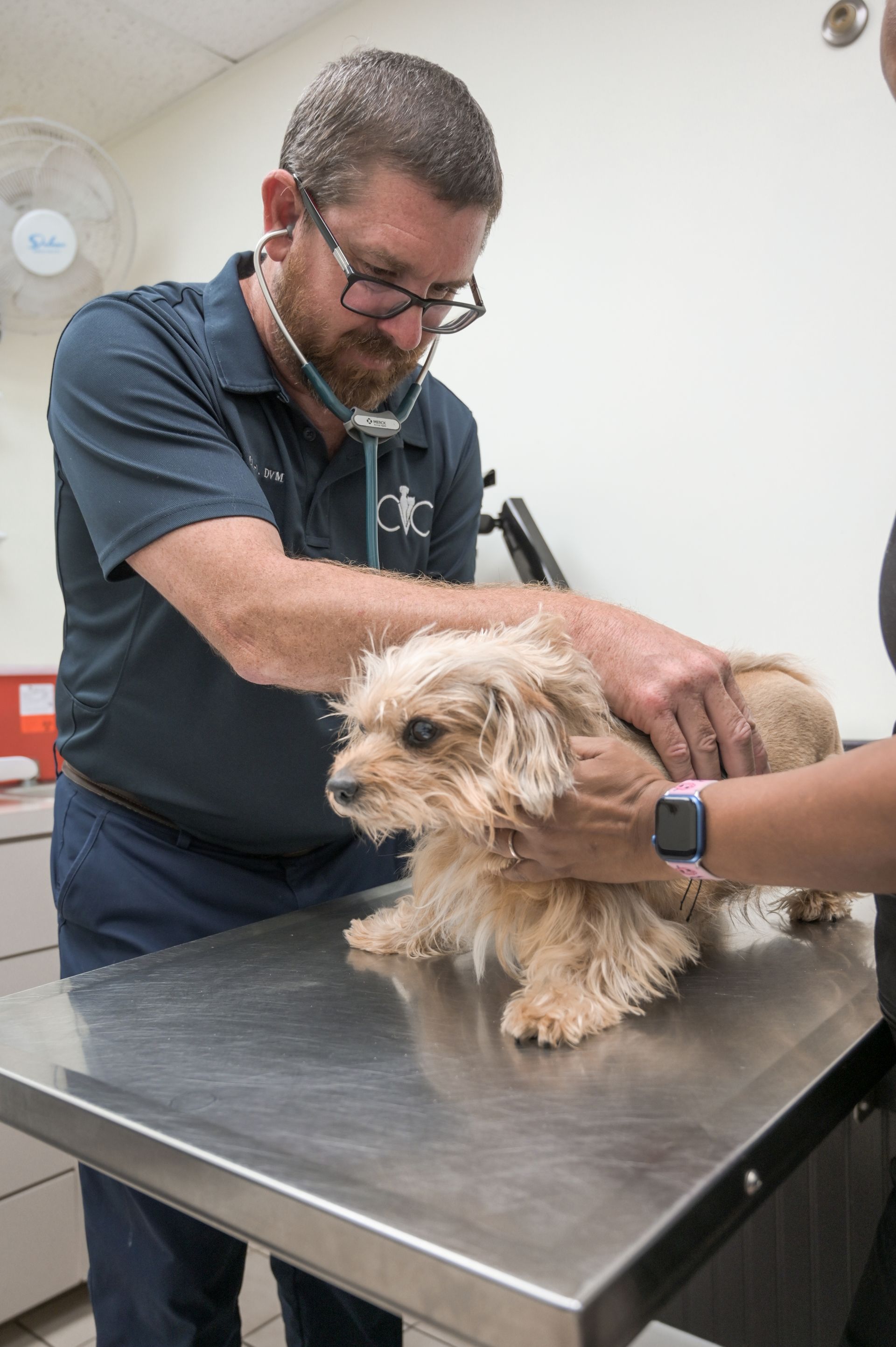 About | Community Vet Clinic