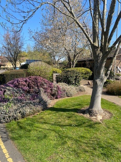 Our grounds maintenance projects│ Graham's Landscapes Ltd