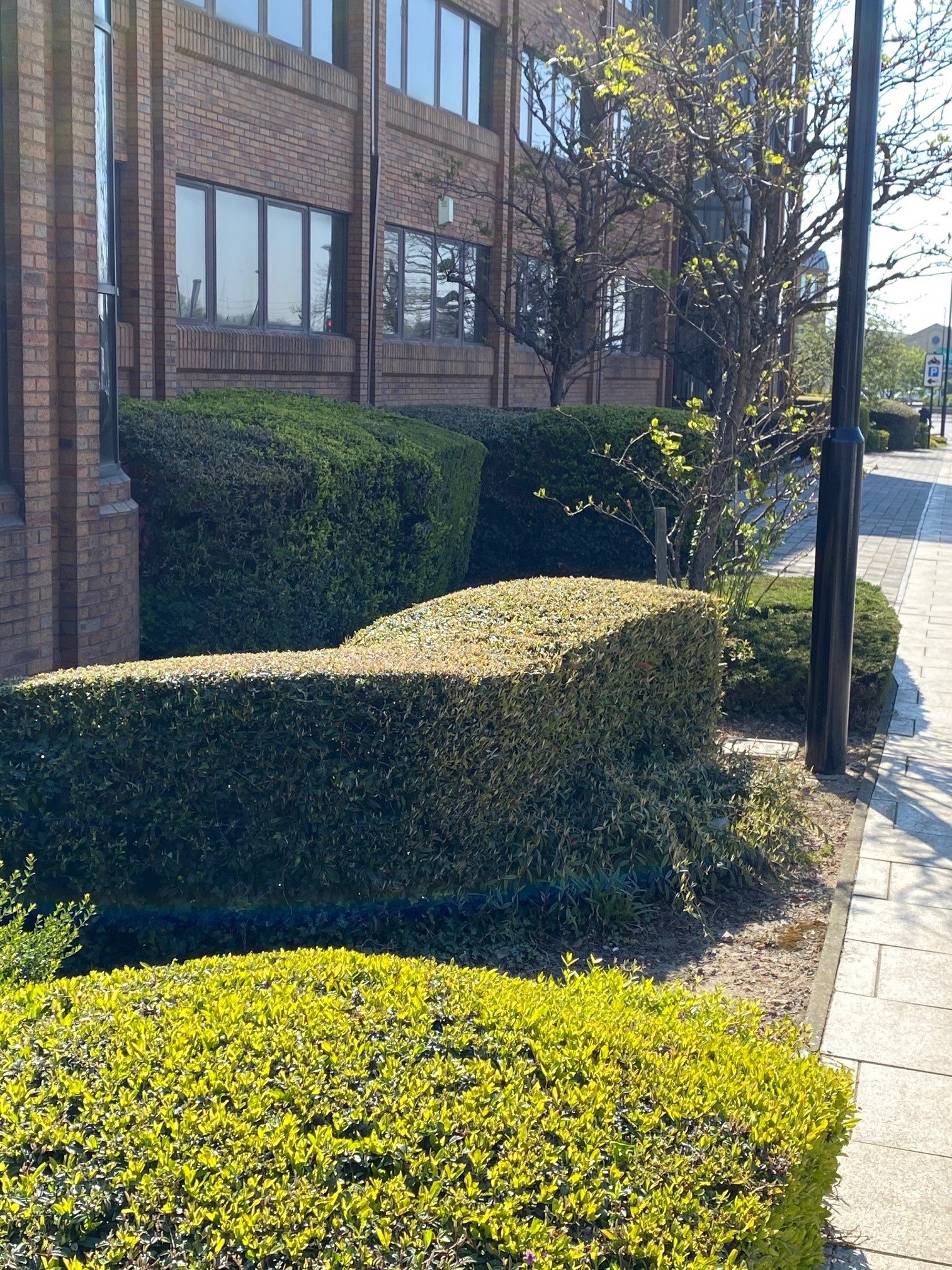 Our grounds maintenance projects│ Graham's Landscapes Ltd