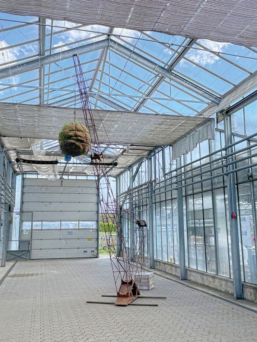 else! – Kunst und Projekt 2023 im "Treibhaus" Münnerstadt