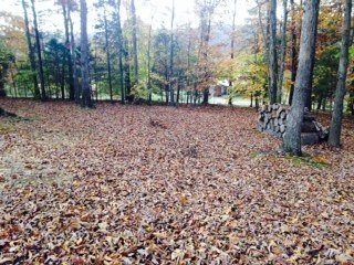 Gallery | LeafCat® | Universal Leaf Bagging System