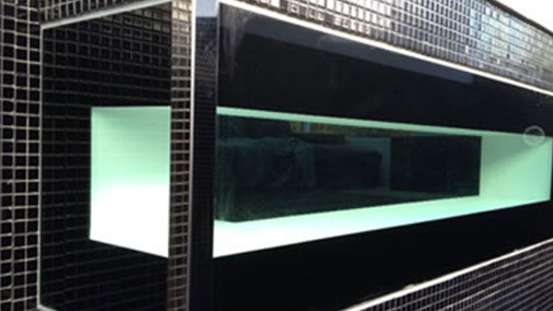 Glass Pool Window Installation | Brisbane, QLD | Euroglass