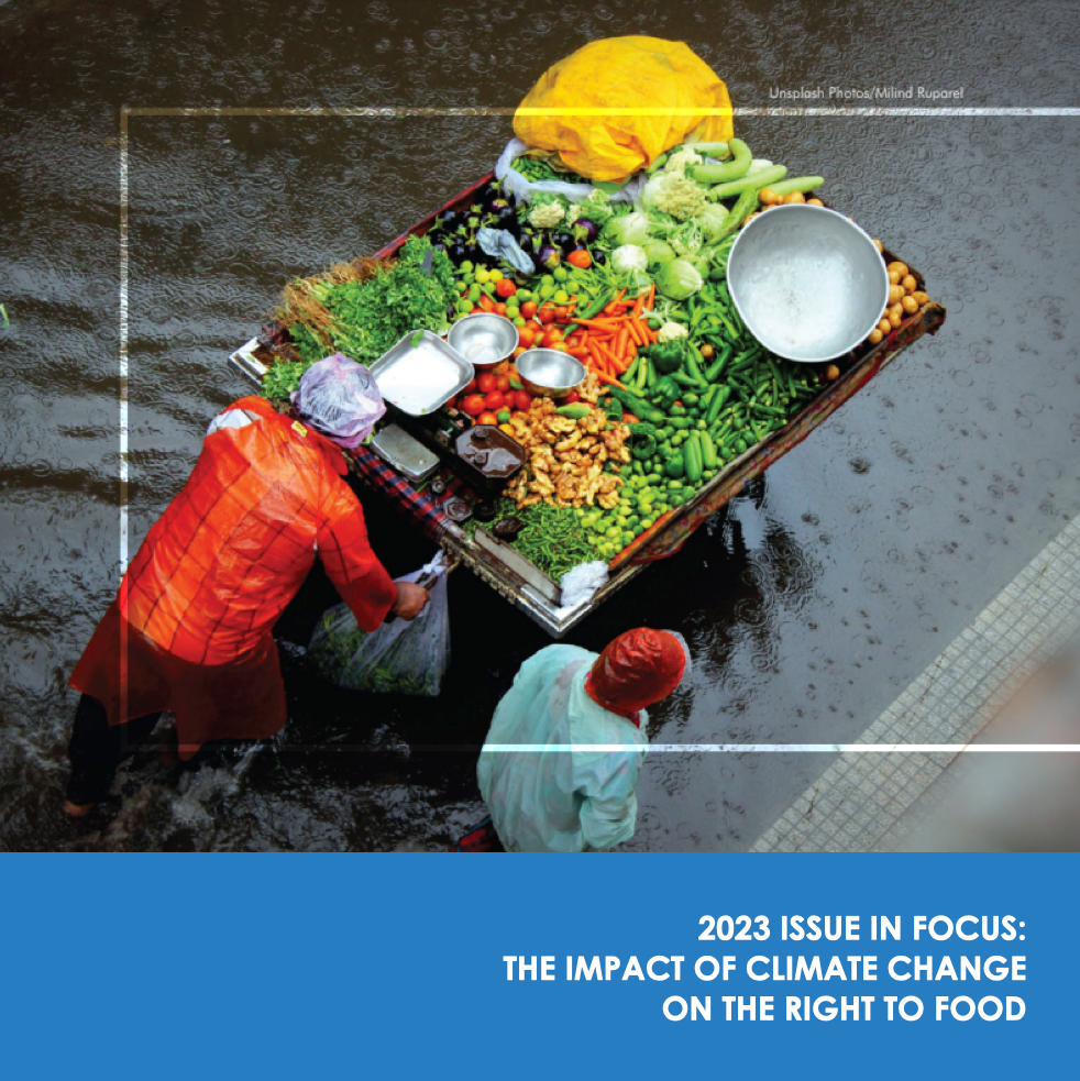 UN Human Rights Climate Policies | Right Here Right Now