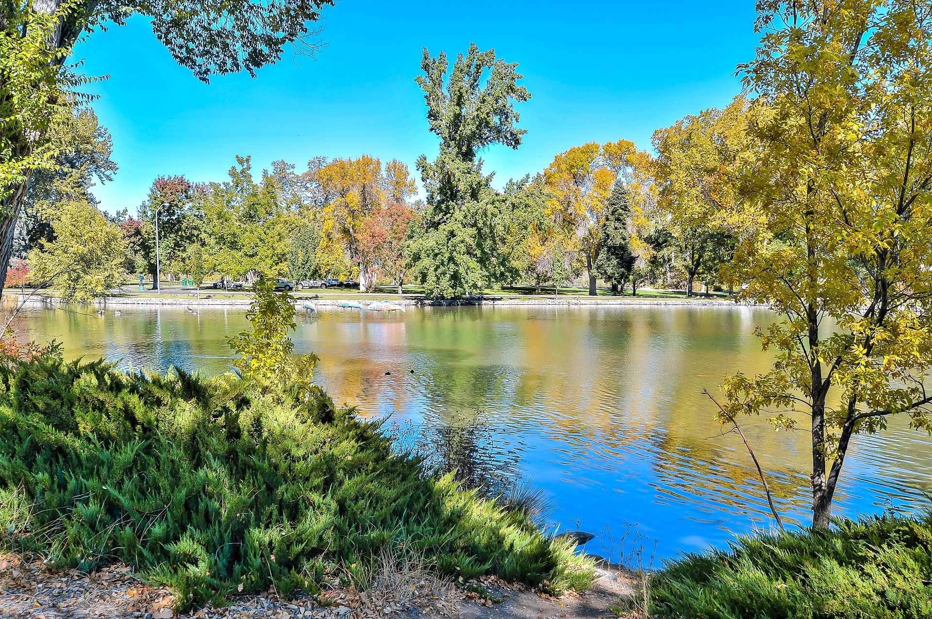 The Park At Idlewild | Stylish Apartments | Reno, NV