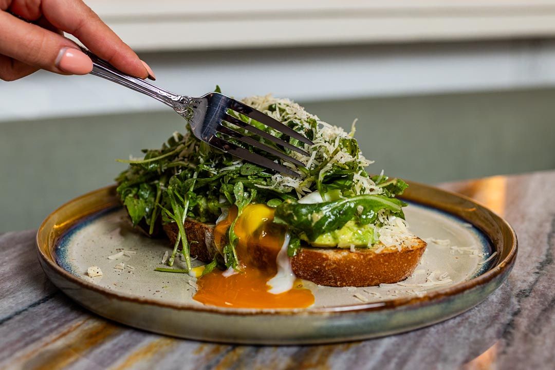 Brunch & Dinner Restaurant | Flora North Park | North Park