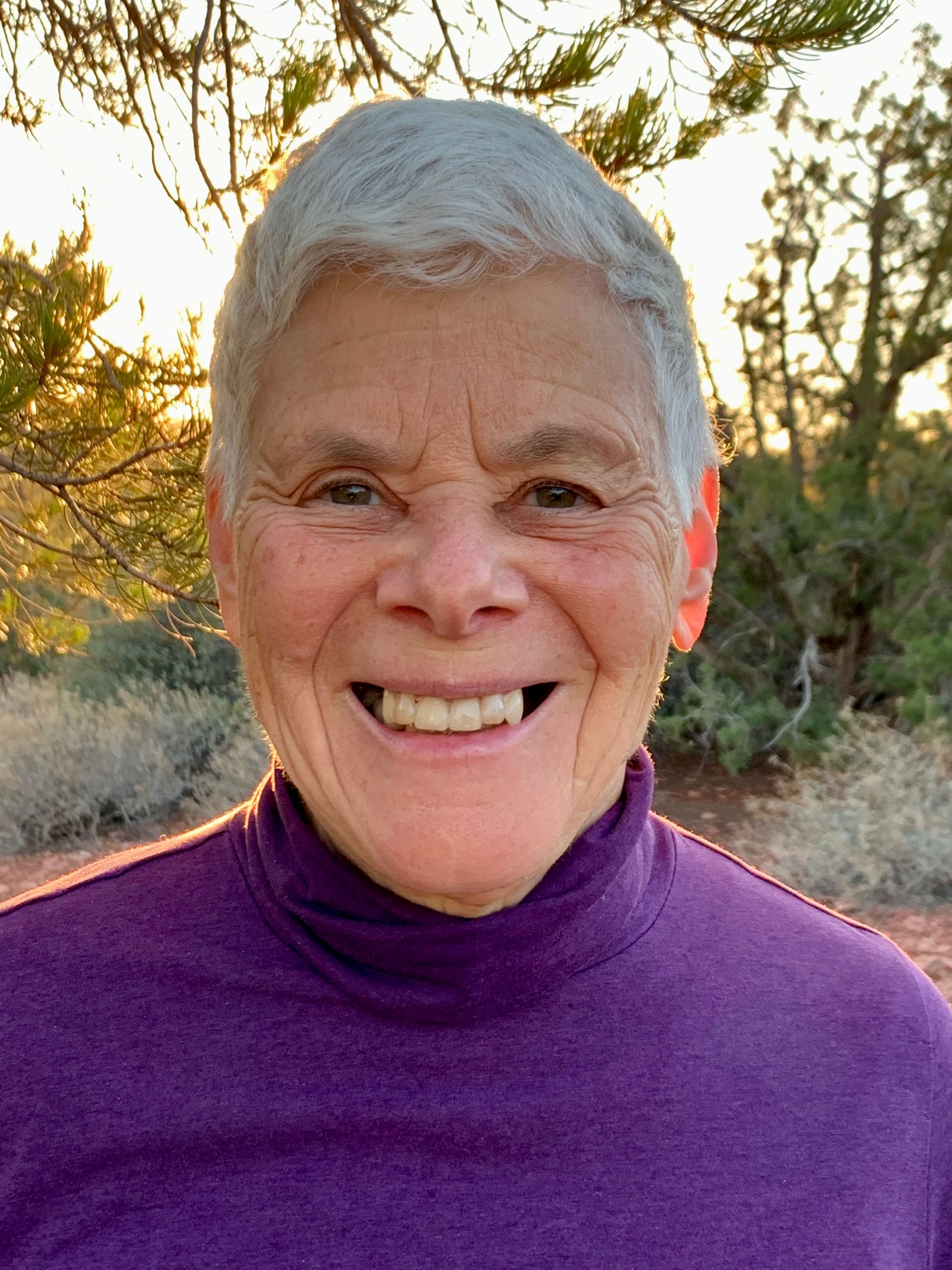 ACEP The Home of Energy Psychology