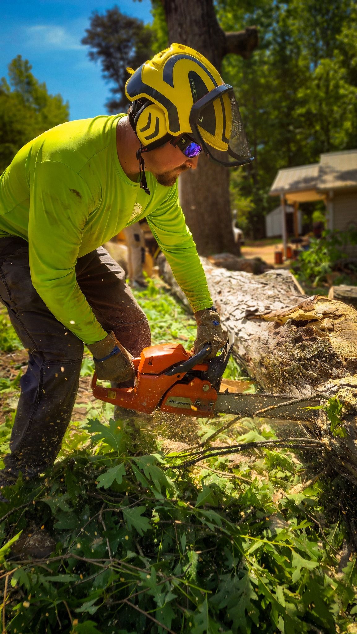 Gallery | Warrior Tree Service LLC - Tree Service