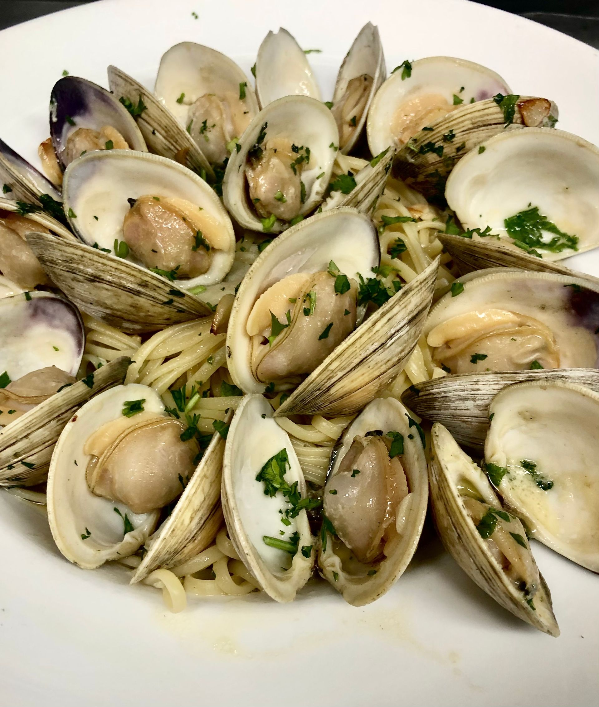 Dining Gallery | Croton On Hudson, Westchester NY | Fino Restaurant