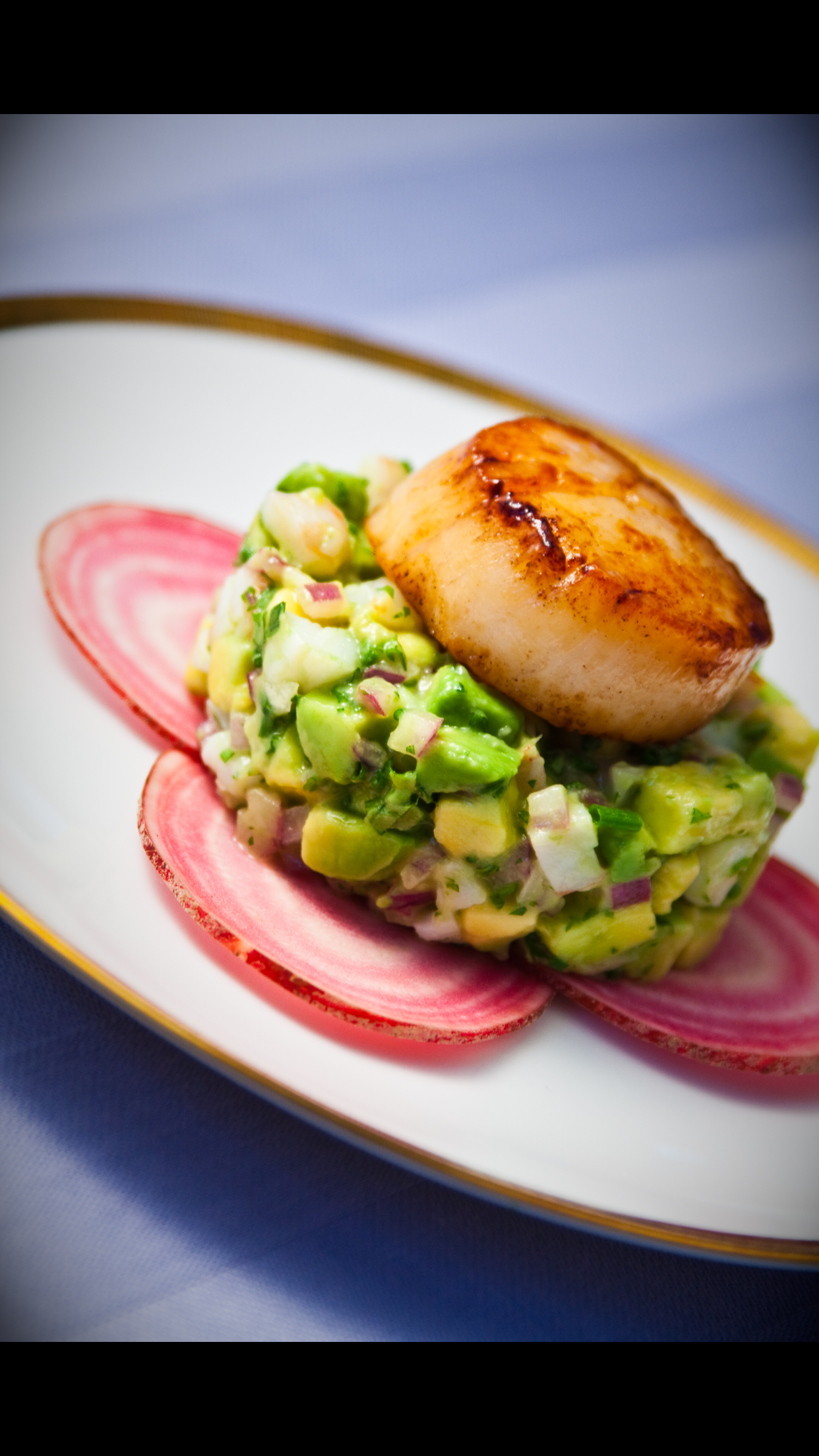 Dining Gallery | Croton On Hudson, Westchester NY | Fino Restaurant