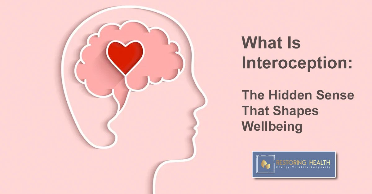 What Is Interoception: The Hidden Sense That Shapes Wellbeing