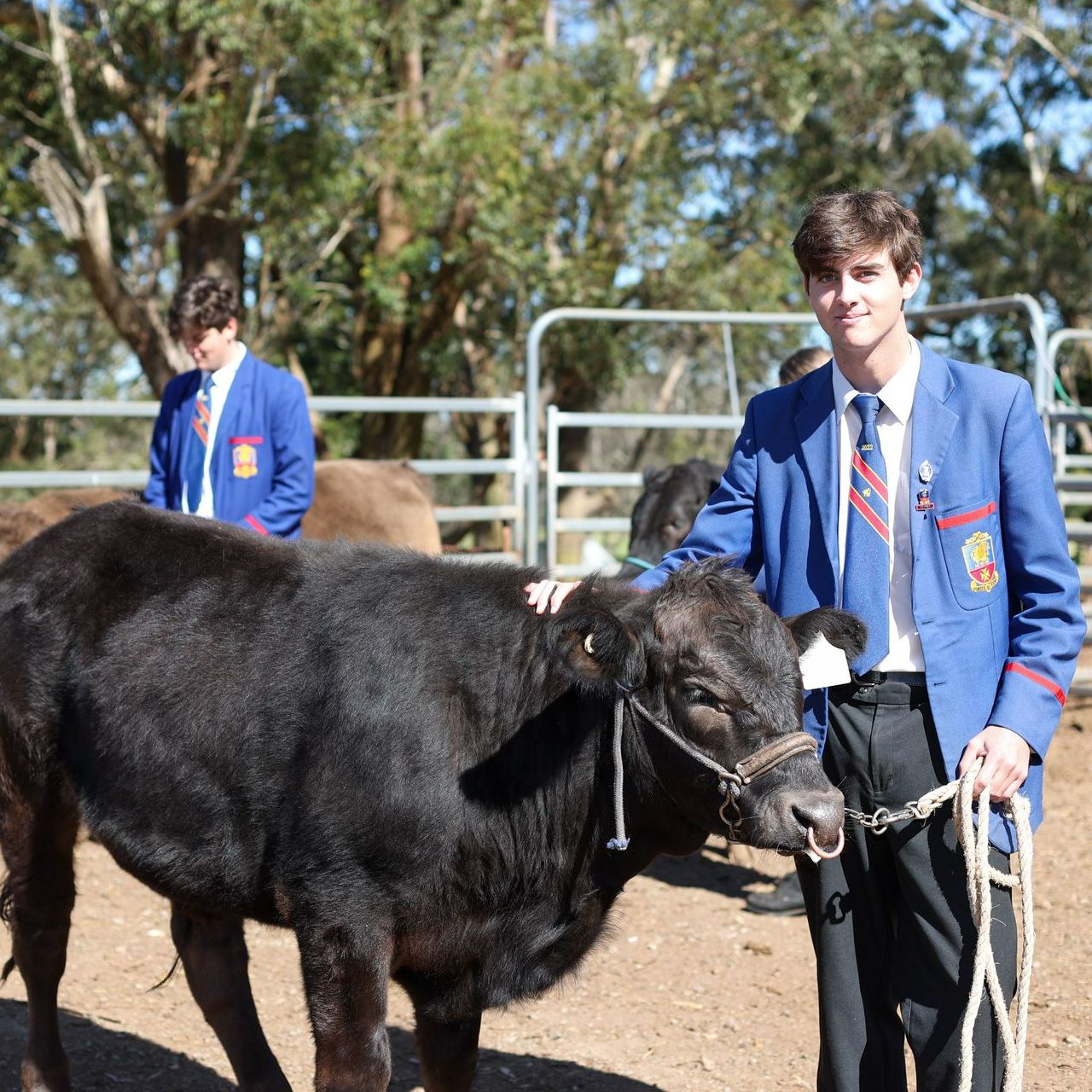Education | Downlands College