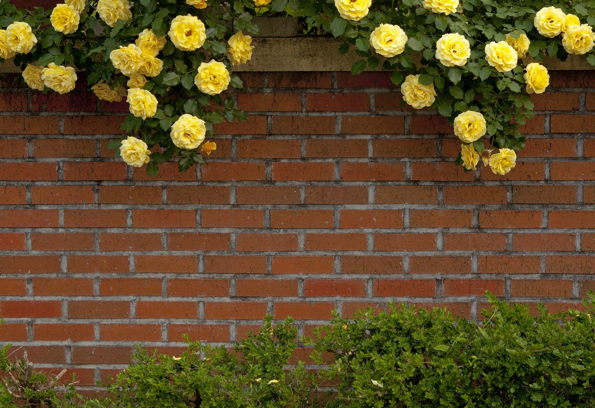 Modern brick boundary wall designs