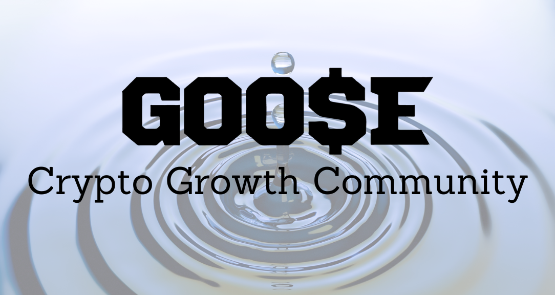 Goose Magazine | Crypto Consulting & News