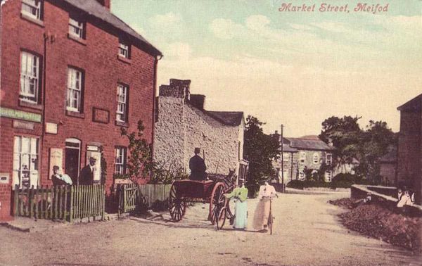 Home [www.meifodhistorygroup.co.uk]