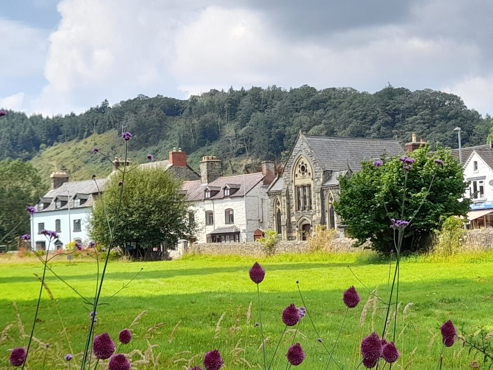 Home [www.meifodhistorygroup.co.uk]