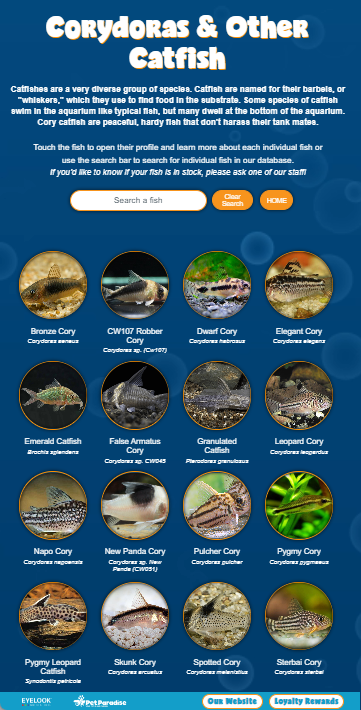 Interactive Kiosk: Pet Paradise Fish Database