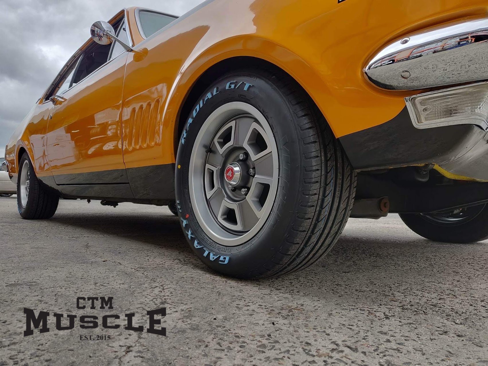 Gallery | CTM Muscle