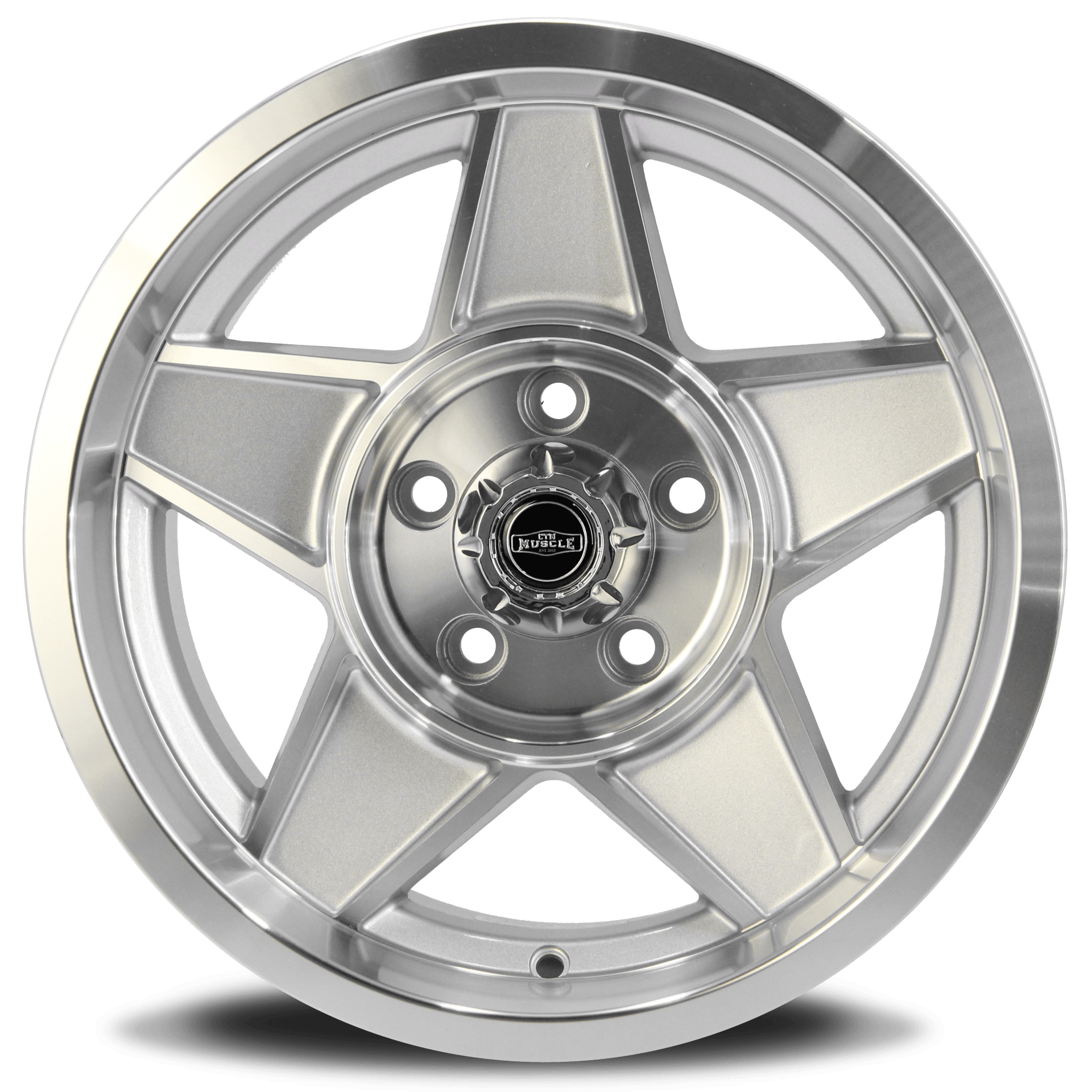 Holden Torana Fitment Guide | CTM Muscle