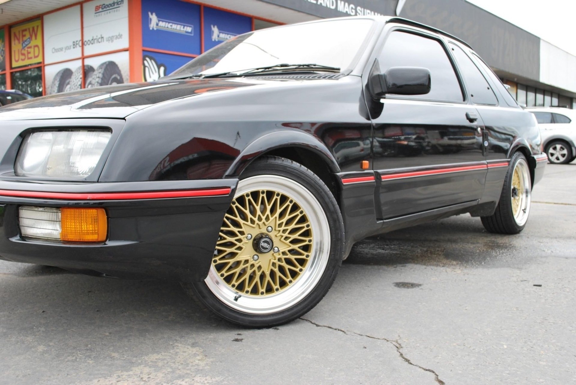 SPIDER Gallery | CTM Muscle