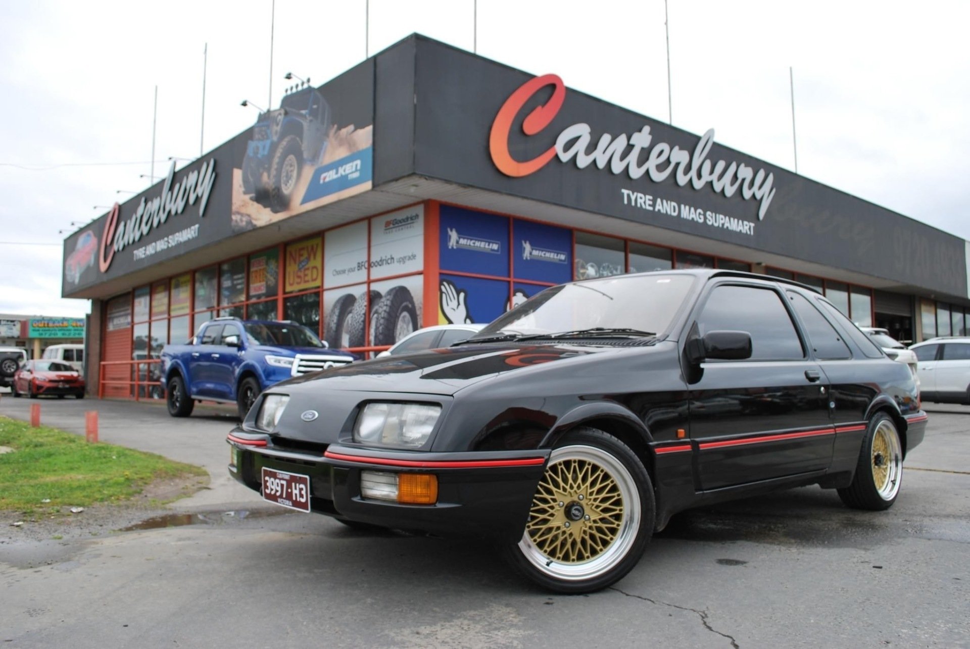 SPIDER Gallery | CTM Muscle