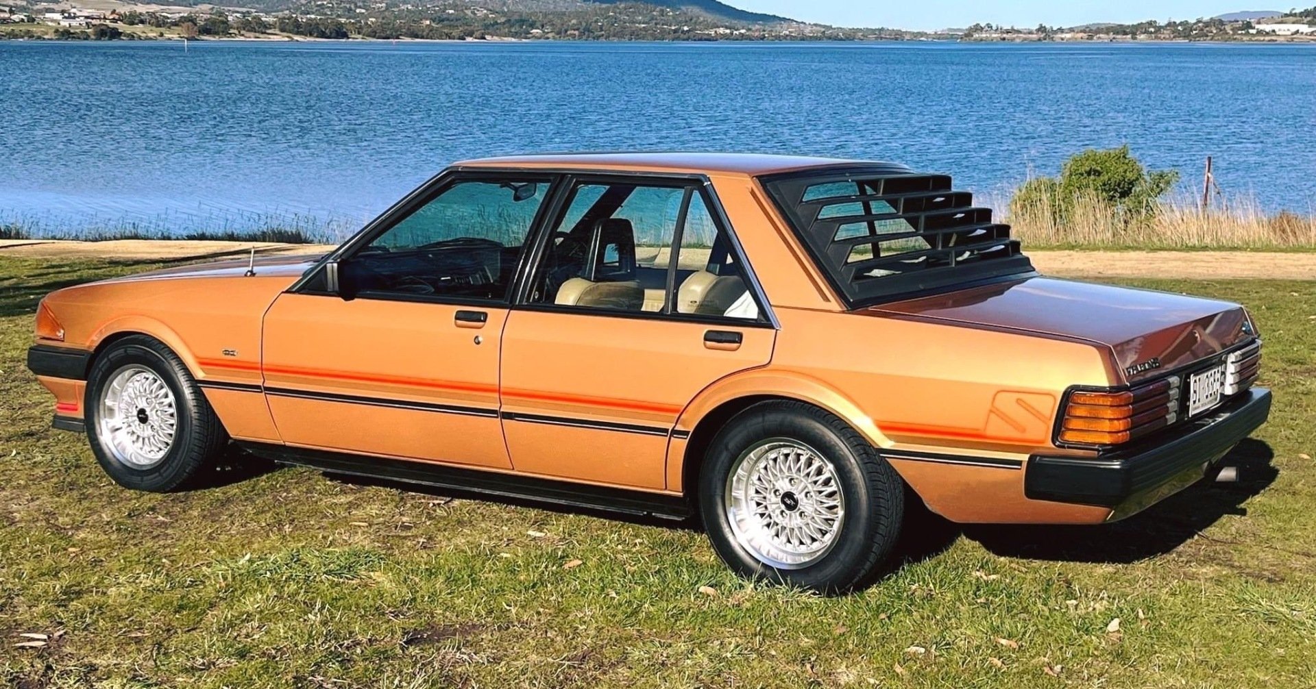 Gallery | CTM Muscle