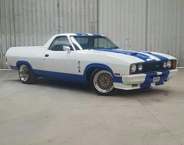 SPIDER Gallery | CTM Muscle