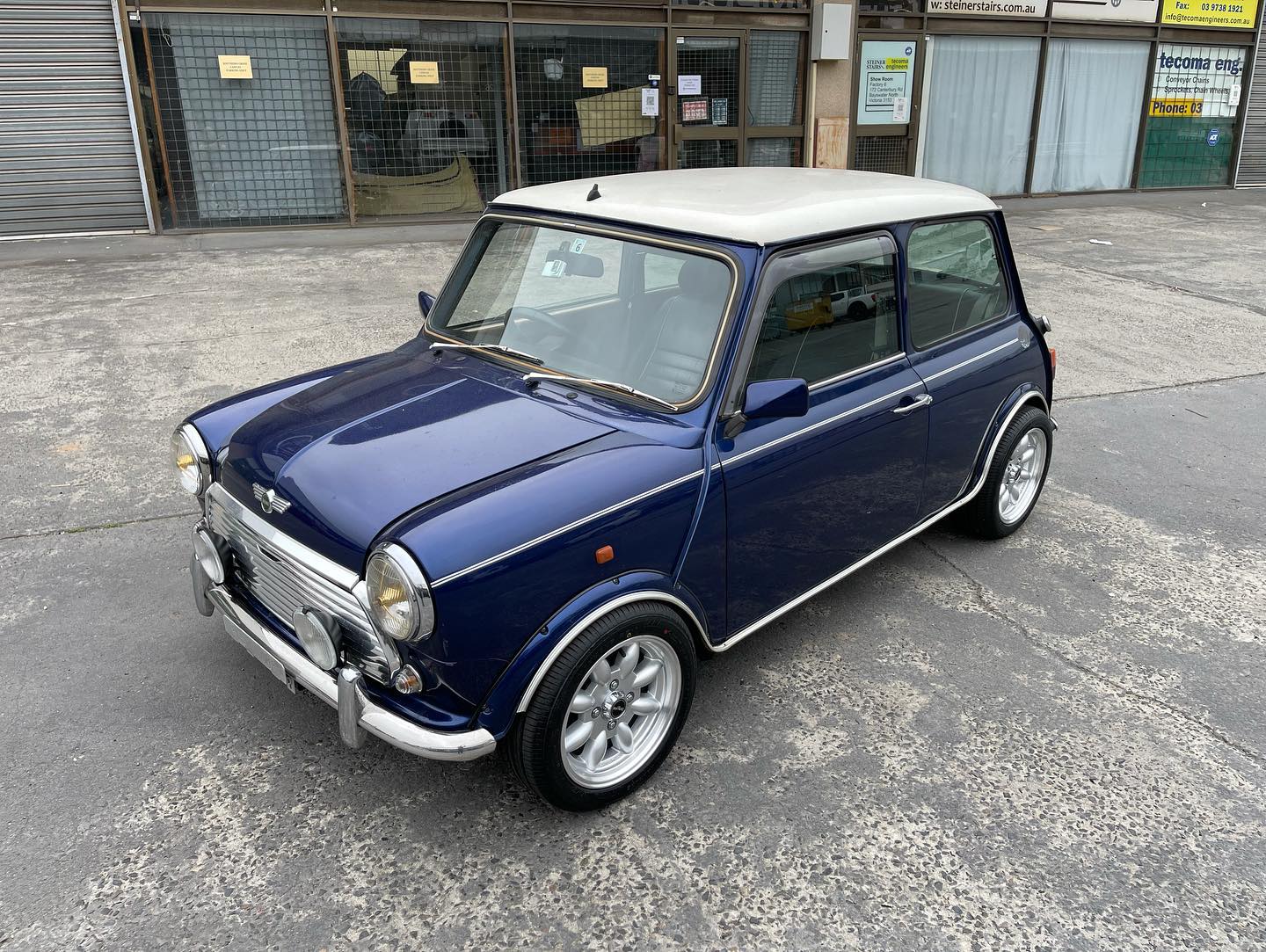 Gallery | CTM Muscle