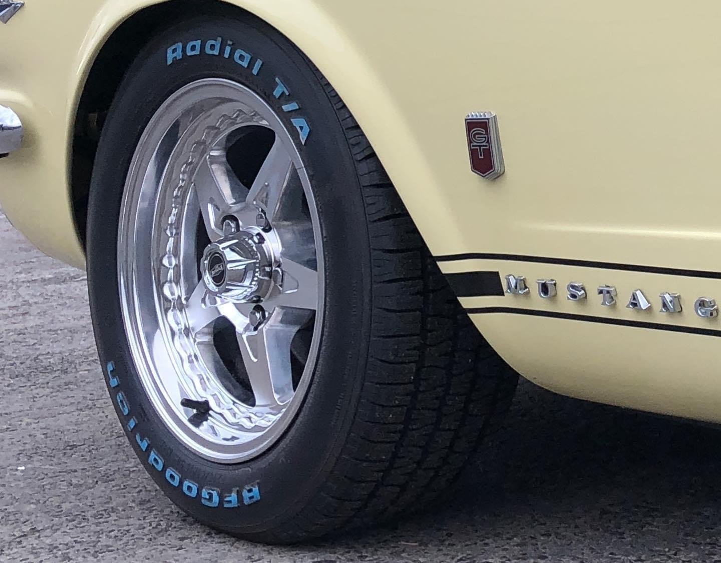 DRAGSTAR Gallery | CTM Muscle