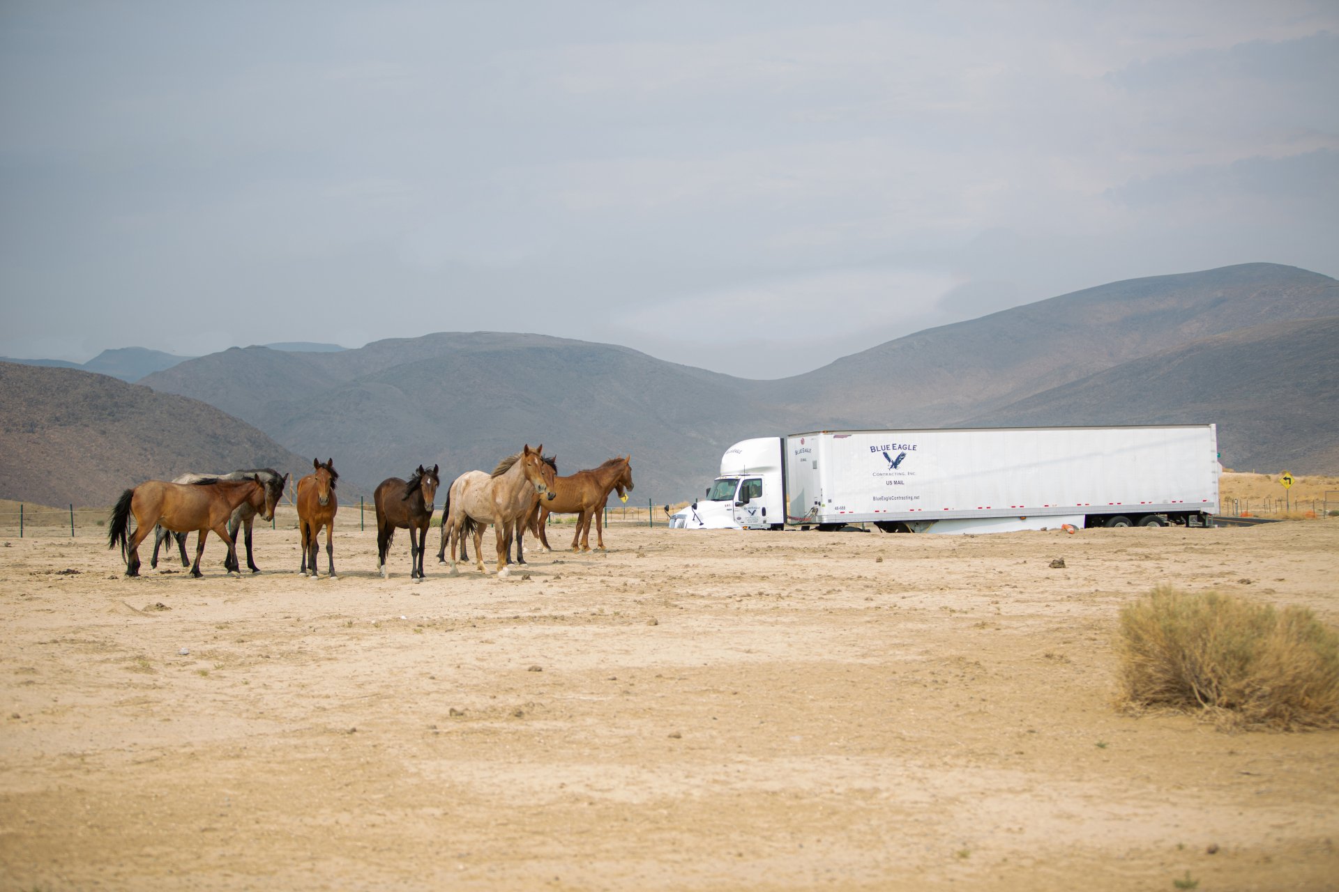 Home - Blue Eagle Contracting, Inc.