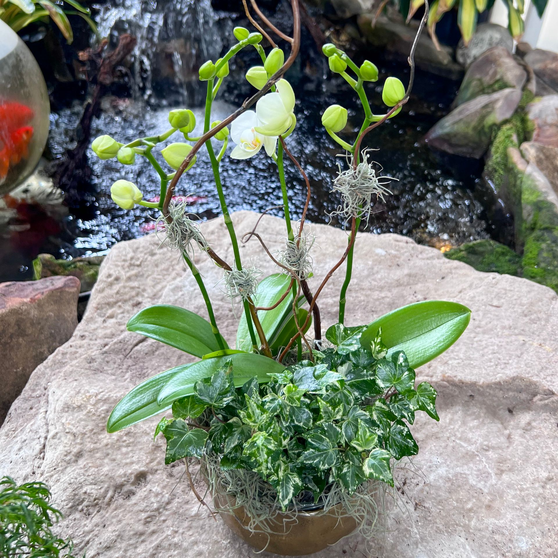 Plant Services | Logan's Garden Shop | Raleigh, NC