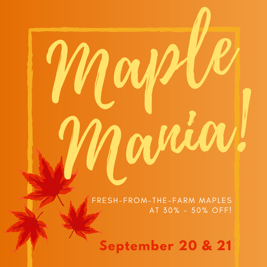 Logan's Garden Shop - Raleigh, NC - Promotions