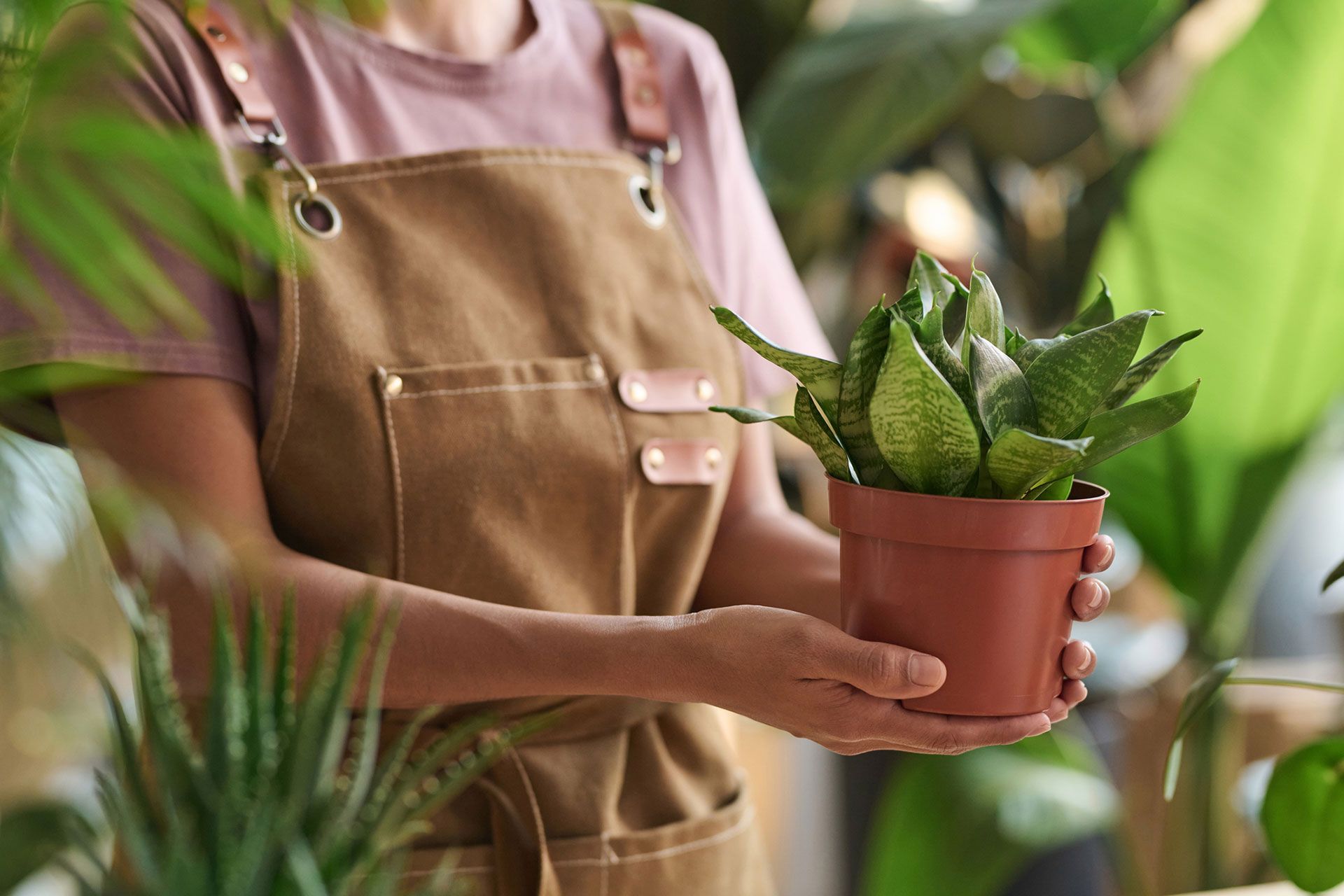Plant Services | Logan's Garden Shop | Raleigh, NC