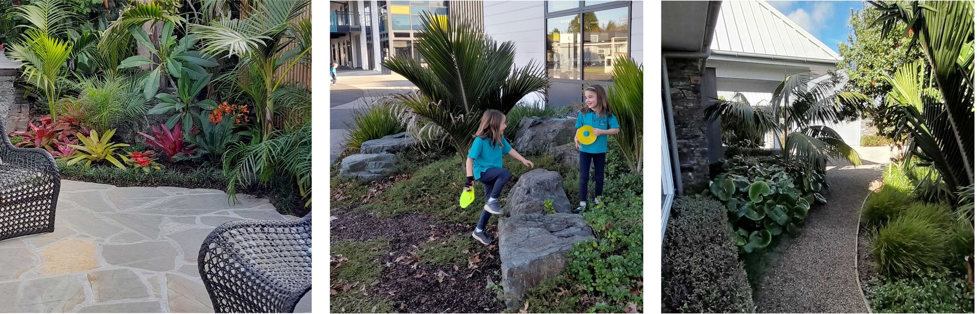 Auckland Landscape Design / Bill Holden Design & Landscape Ltd