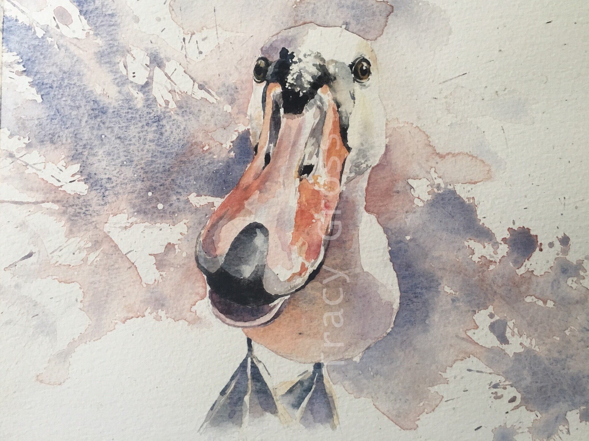 Tracy Gross - Watercolour Artist, Wannock, UK