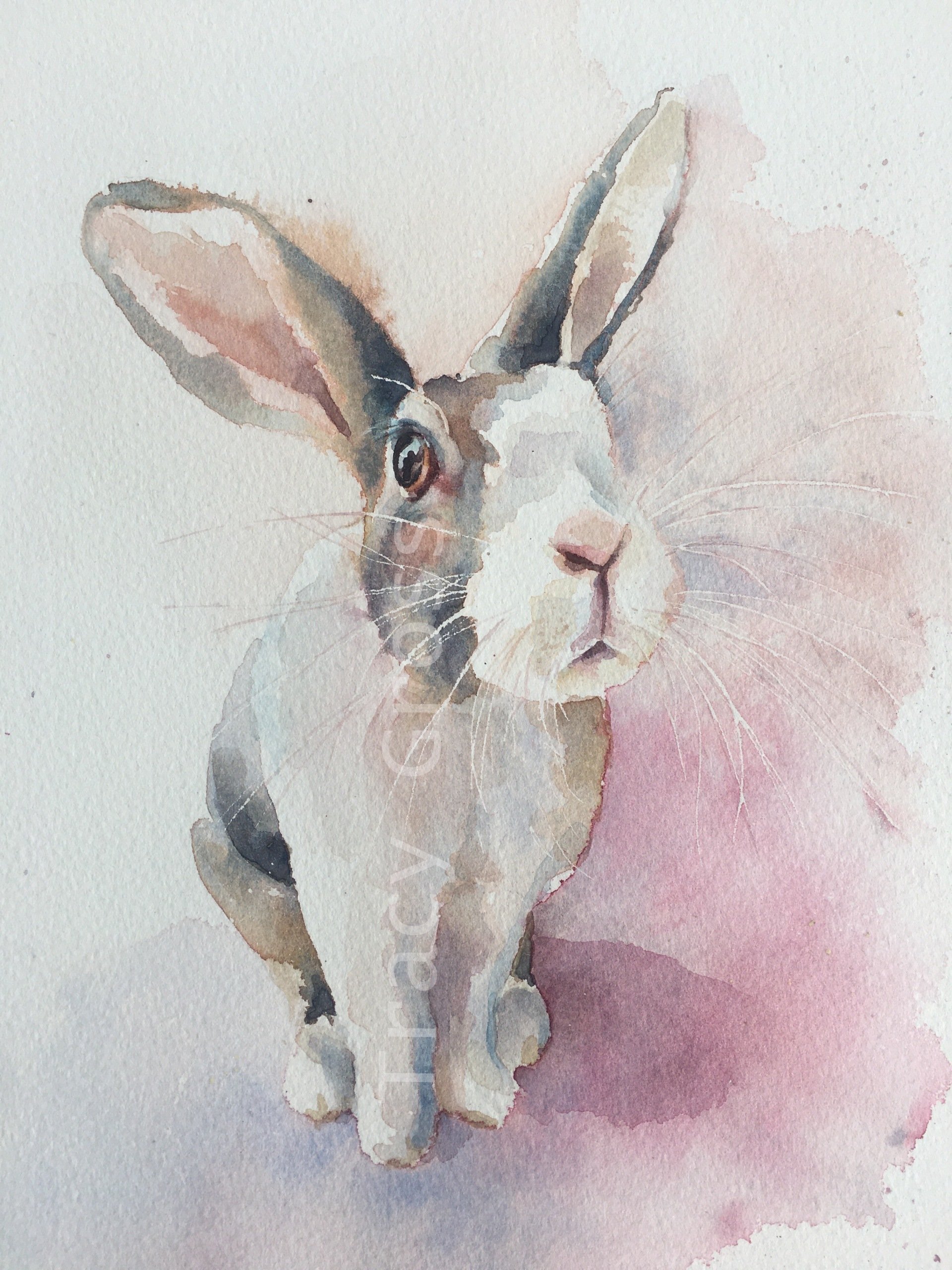 Tracy Gross - Watercolour Artist, Wannock, UK