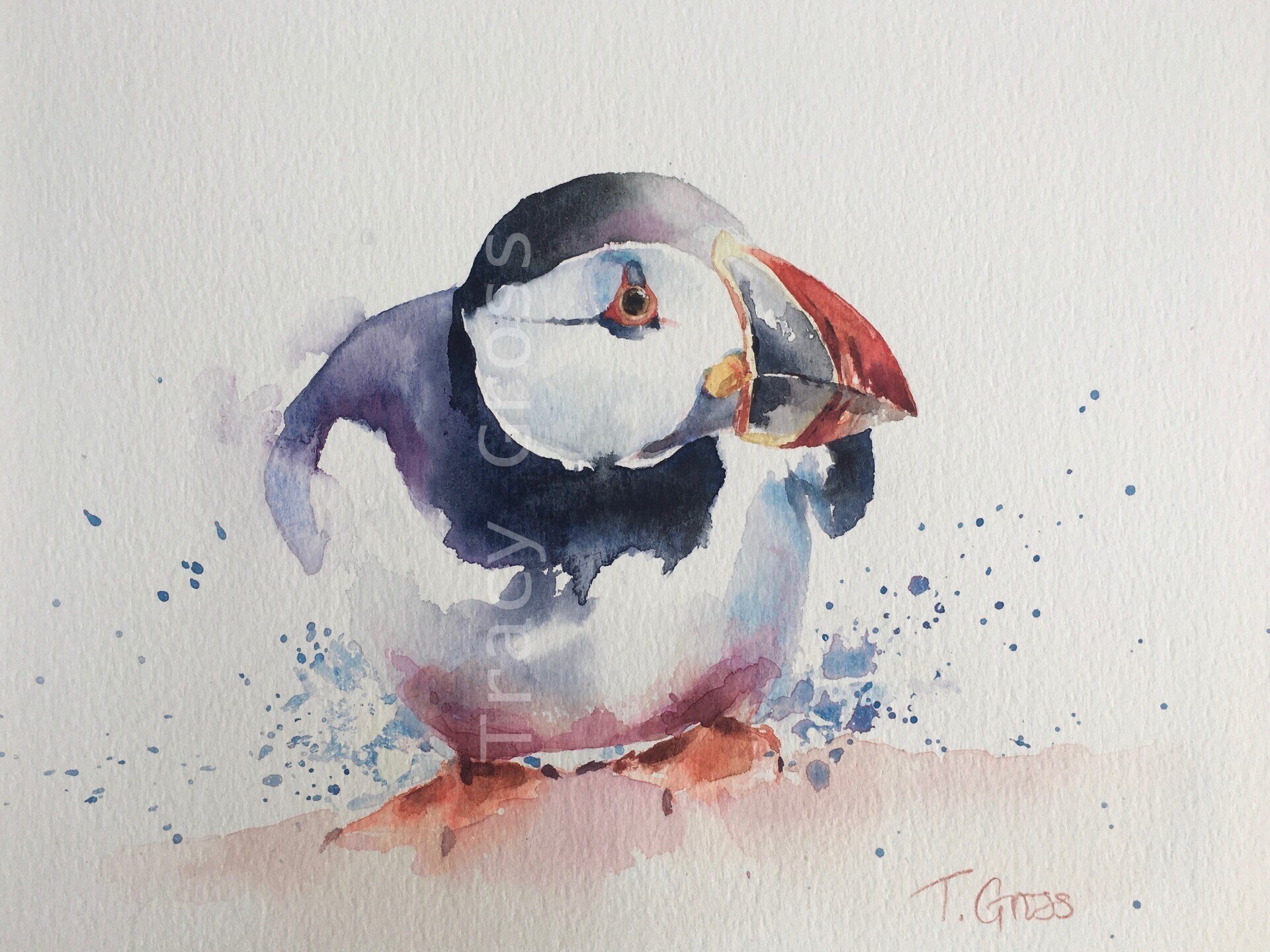 Tracy Gross - Watercolour Artist, Wannock, UK