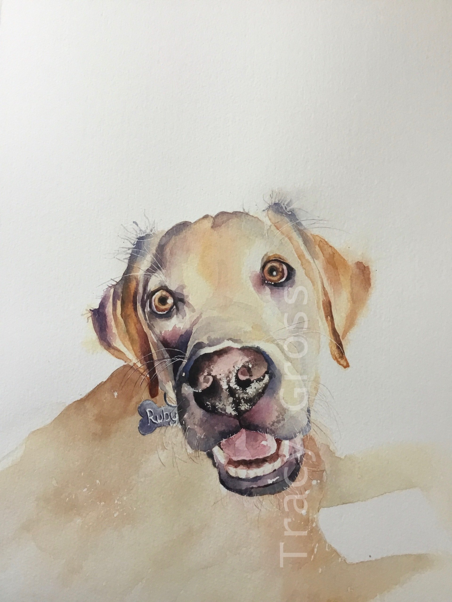 Tracy Gross - Watercolour Artist, Wannock, UK