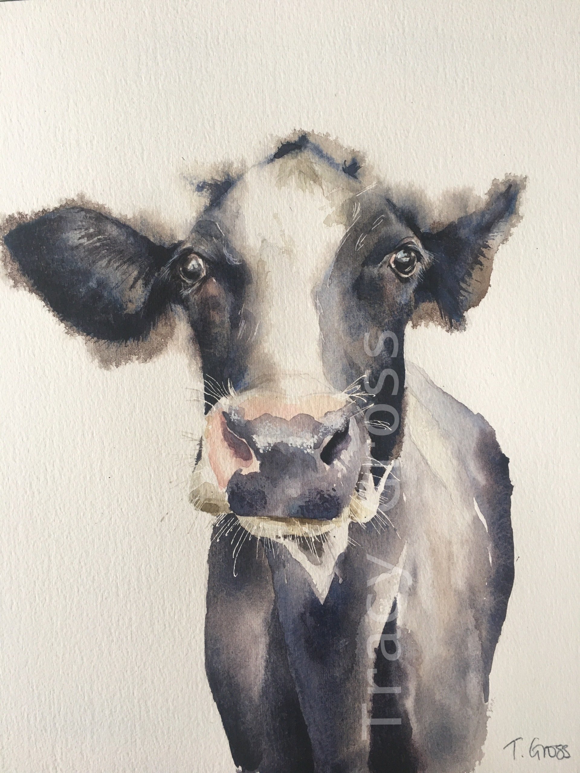 Tracy Gross - Watercolour Artist, Wannock, UK