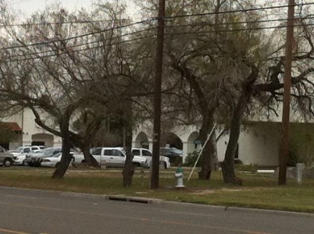 Top Real Estate Listings | REIC Realtors | South Texas