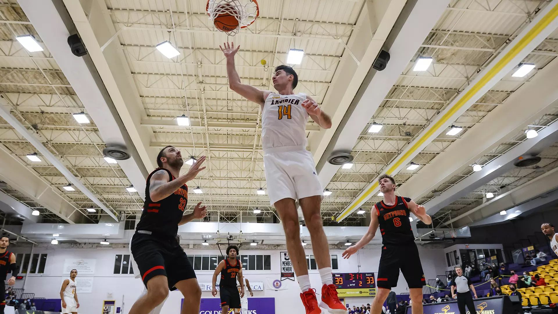 L'Alliance Signe le Pivot Canadien Ben Stevens