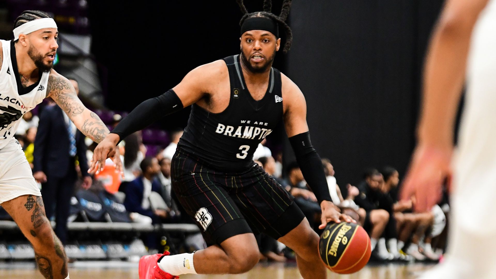 Rattlers Add NCAA Big Man and Veteran Pro Ahead of Playoff Push