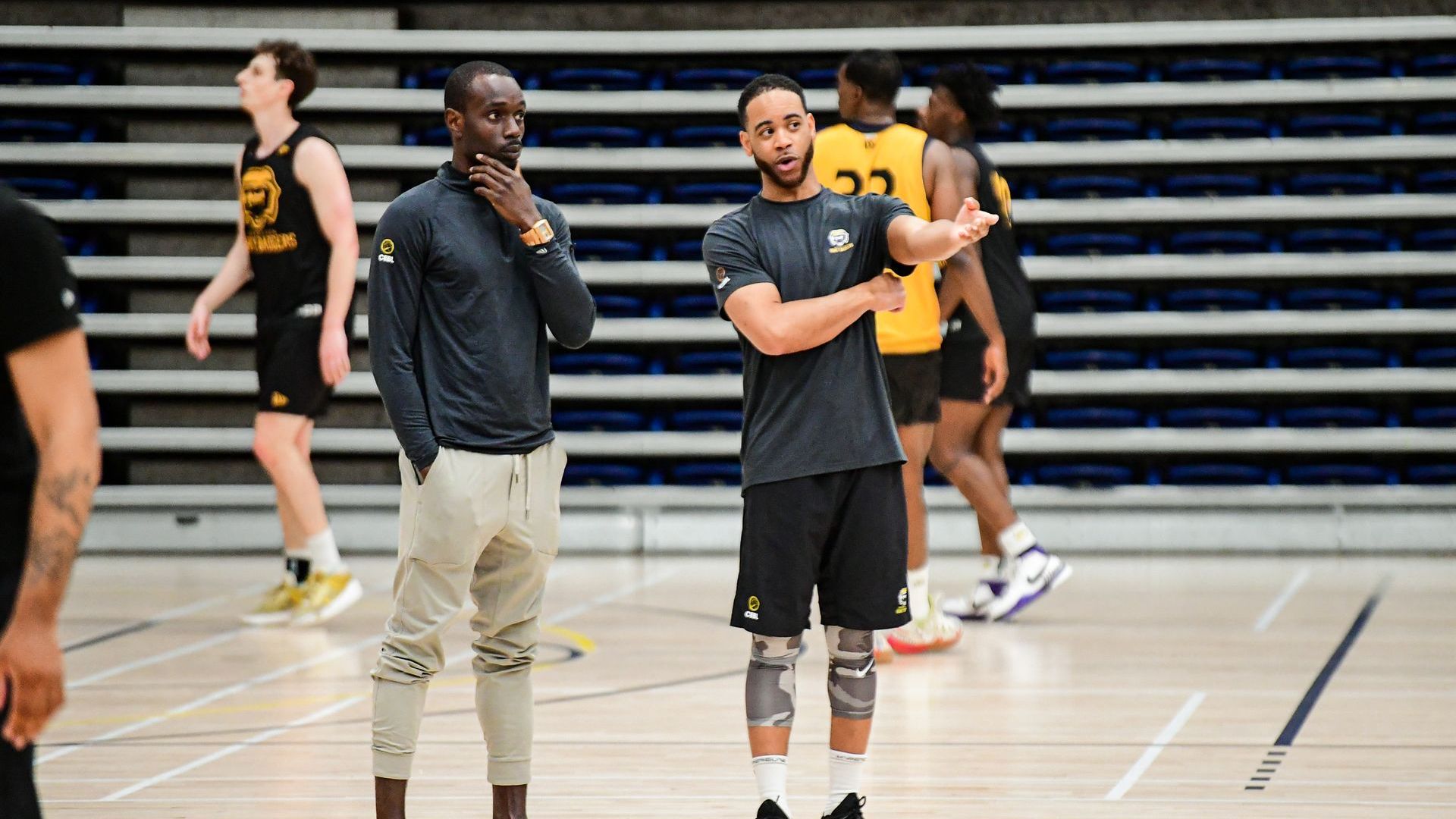 Honey Badgers Announce Training Camp Roster & Coaching Staff for 2025 ...