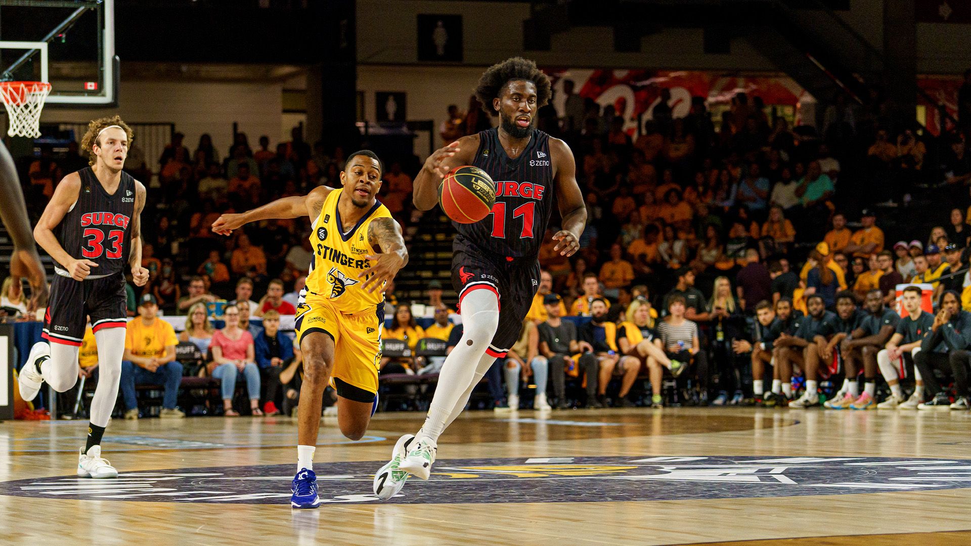 Sea Bears Add Former All-CEBL First Team Forward Shittu