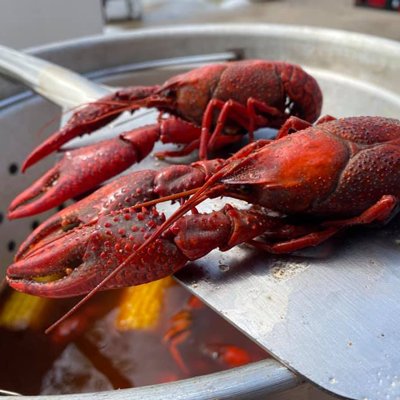 Crawfish Catering in North Texas | Fresh Crawfish | The Crawfish Co