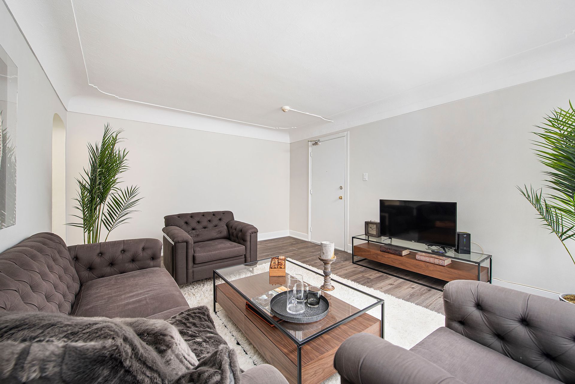 Hamilton Apartments for rent