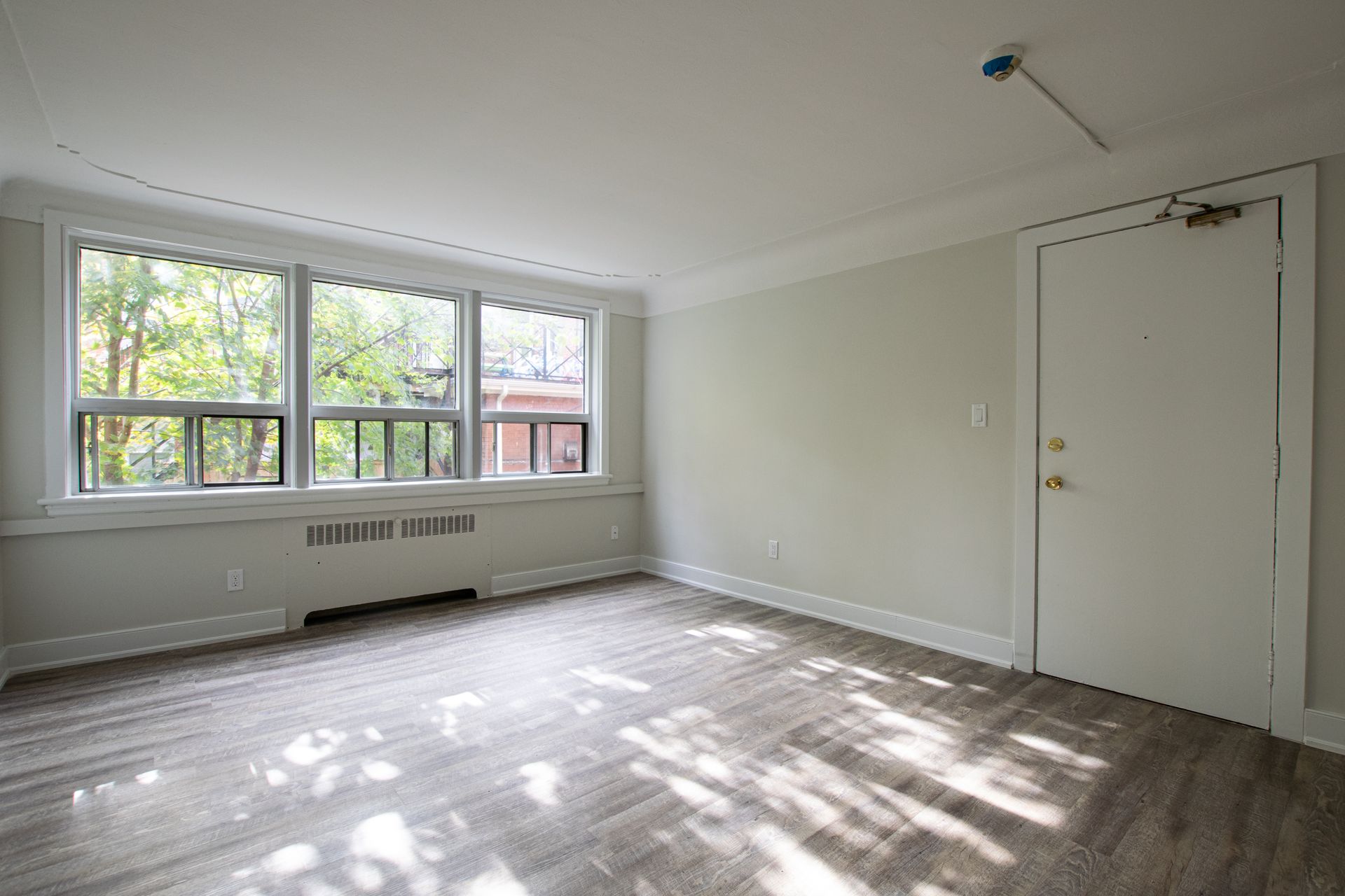 Hamilton Apartments for rent